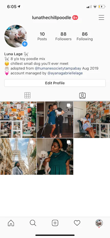 How To See If You've Been Tagged In An Instagram Post Or Story