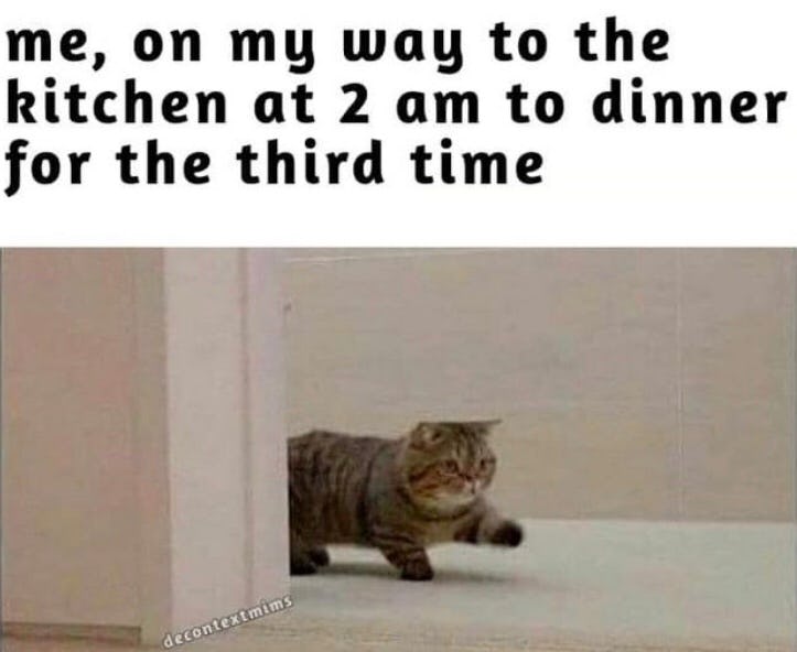 25 National Cat Day Memes To Celebrate The Humor & Dramatics Of Cats