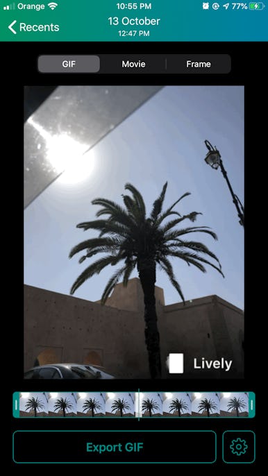 How To Turn Live Photos Into GIFs & Videos If You Want To Get Creative