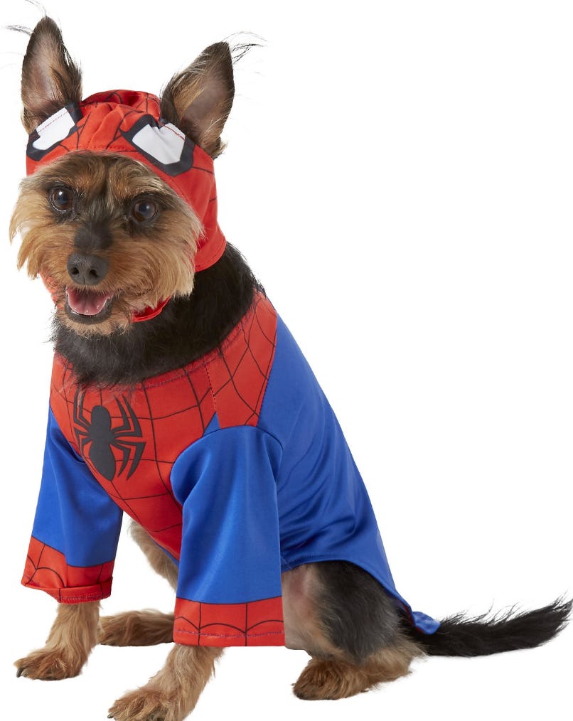 6 Matching Costumes For 2 Dogs That Are Pawfect For A Family Group Pic