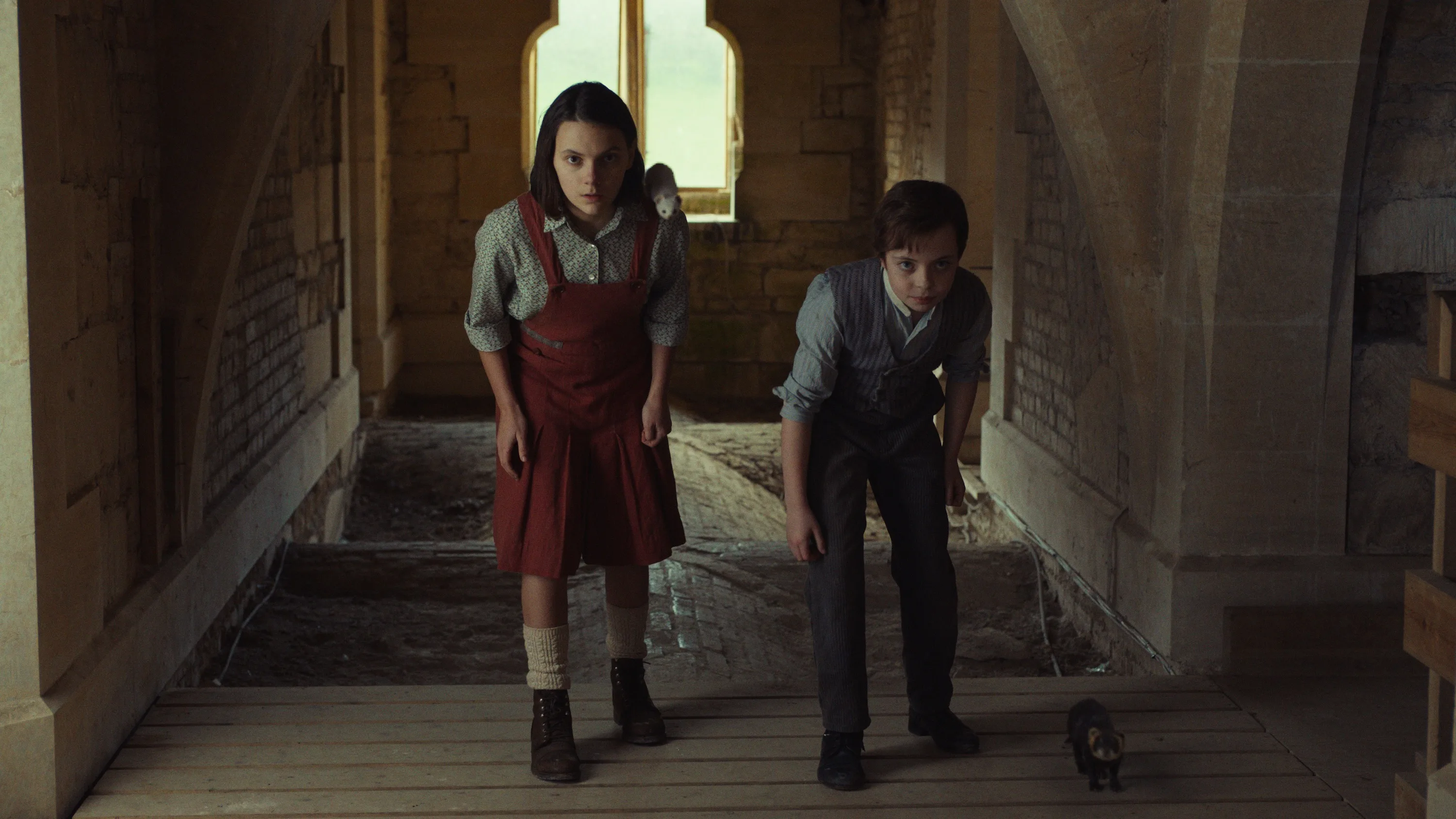 How Do Daemons Work On 'His Dark Materials'? The Animal Companions Are ...