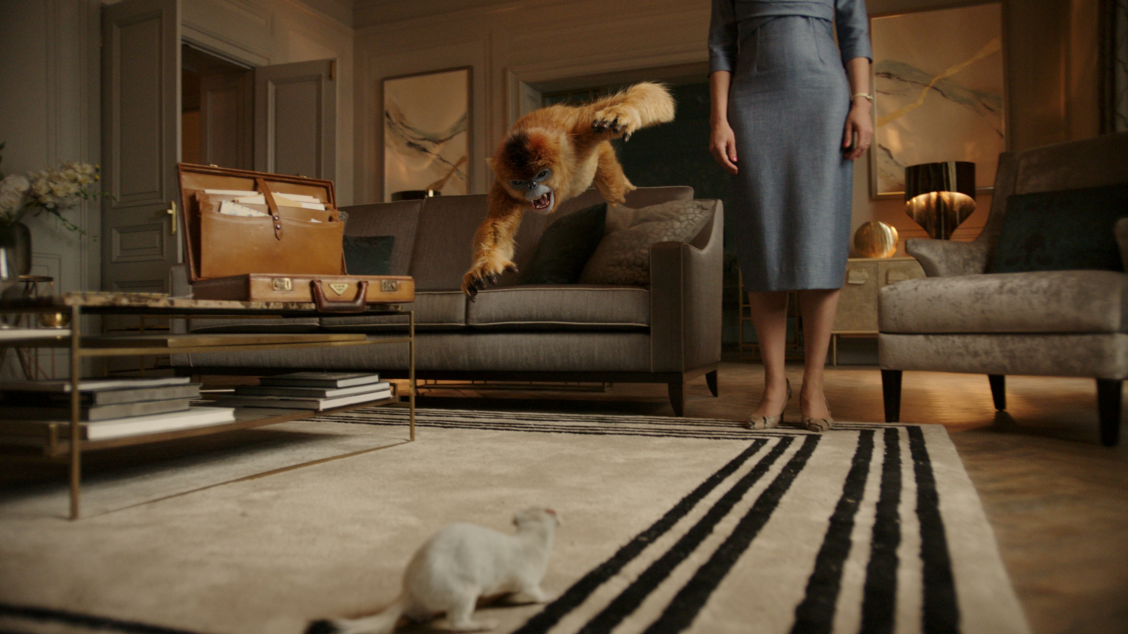 How Do Daemons Work On 'His Dark Materials'? The Animal Companions Are ...