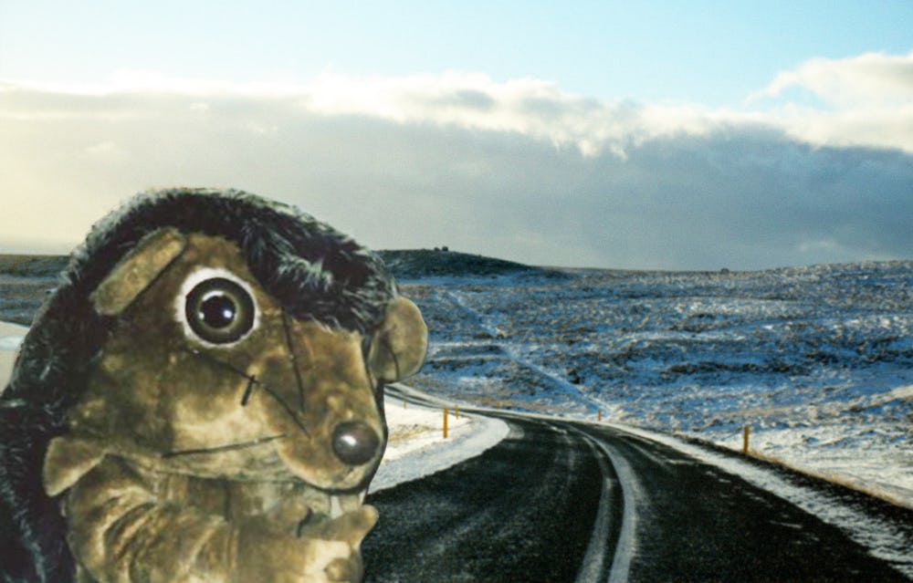 On The Road With Jan Brett