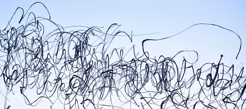 Gallery: Xavi Bou's 'Ornitographies'