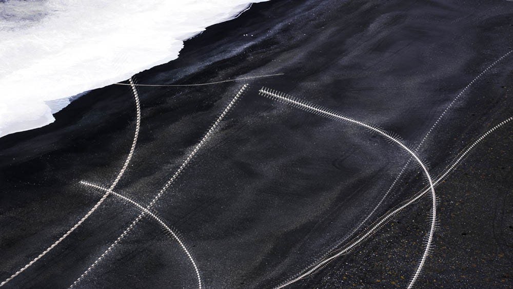 Gallery: Xavi Bou's 'Ornitographies'