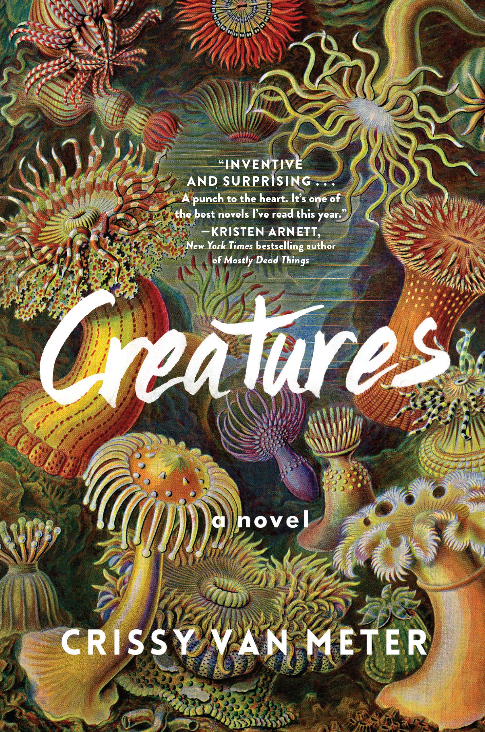 The 35 Most Anticipated Books Of January 2020