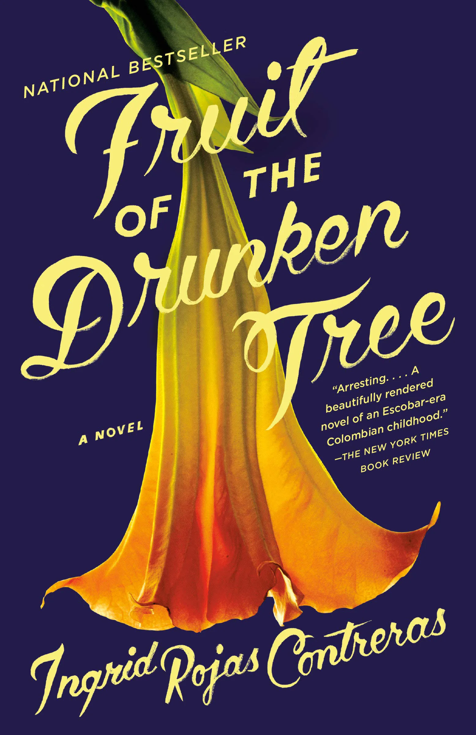 The Best Books Of The 2010s, According To 30 Of The Decade's Debut Authors