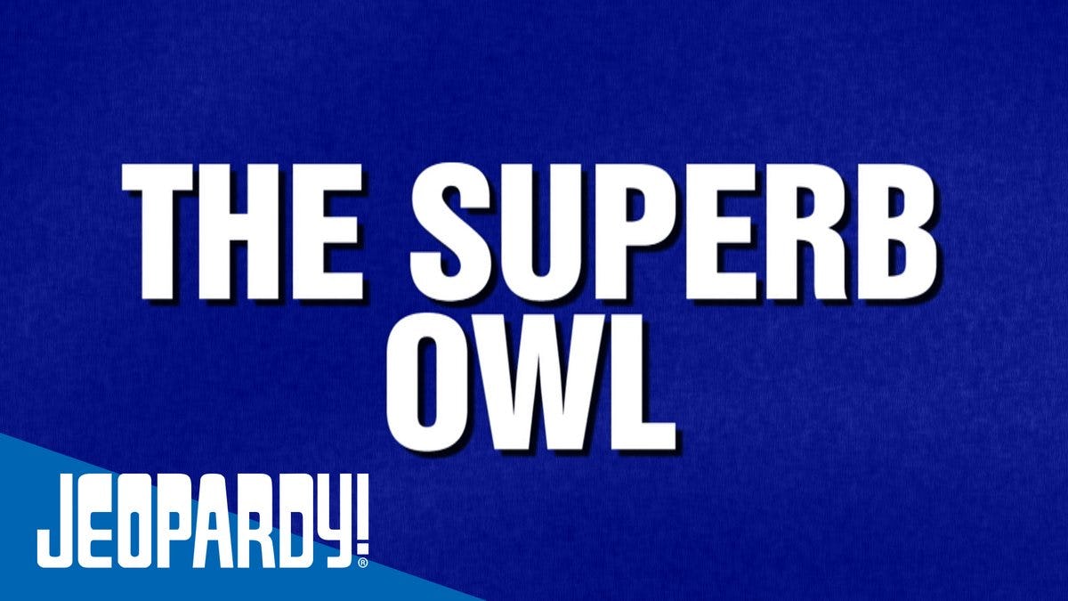 Funny "Superb Owl" Memes To Post, Regardless Of Which Team You're ...