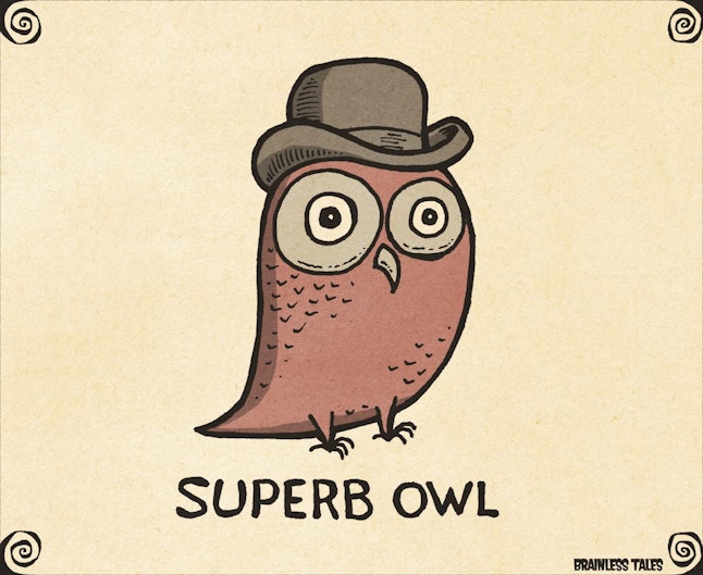 Funny "Superb Owl" Memes To Post, Regardless Of Which Team You're ...