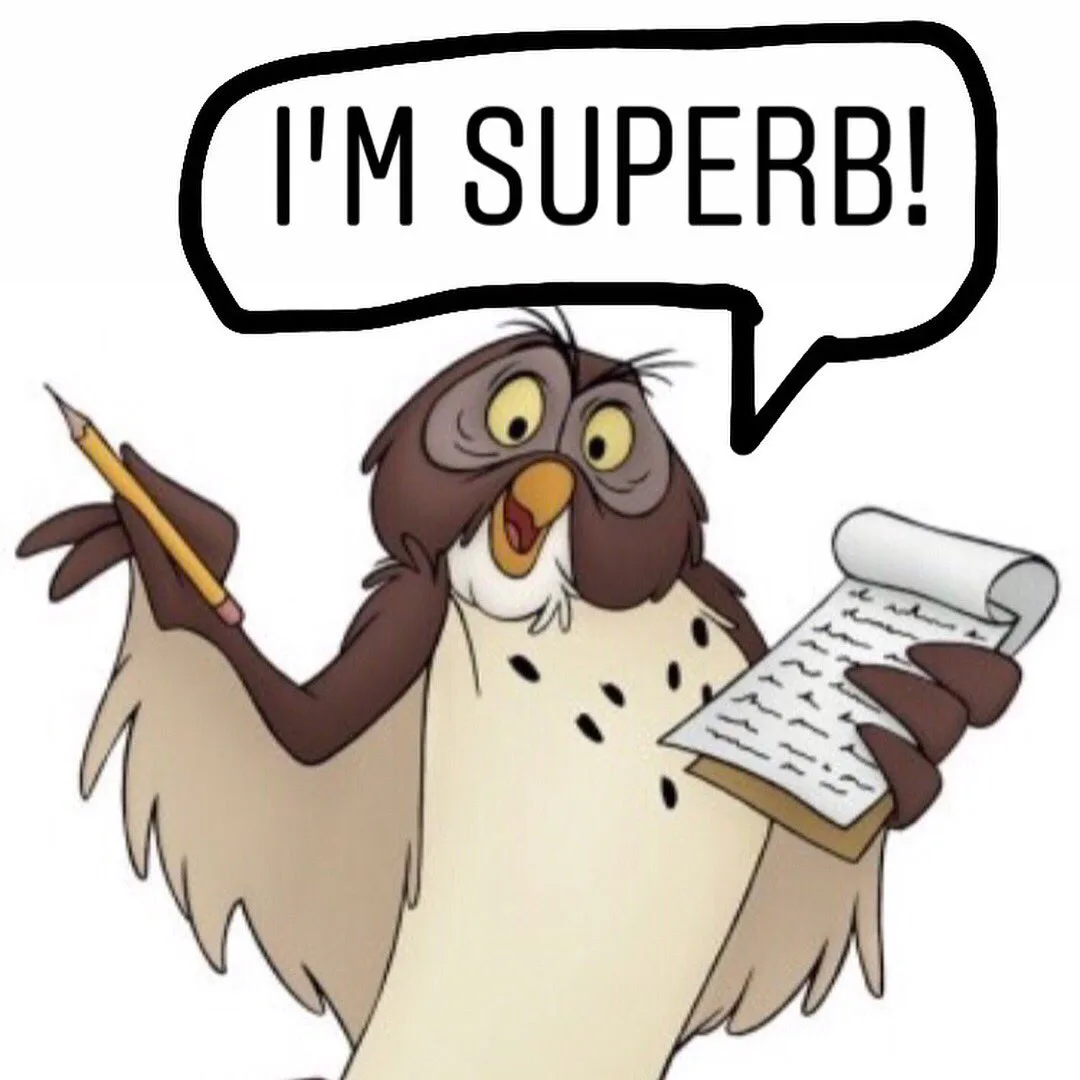 Funny "Superb Owl" Memes To Post, Regardless Of Which Team You're ...