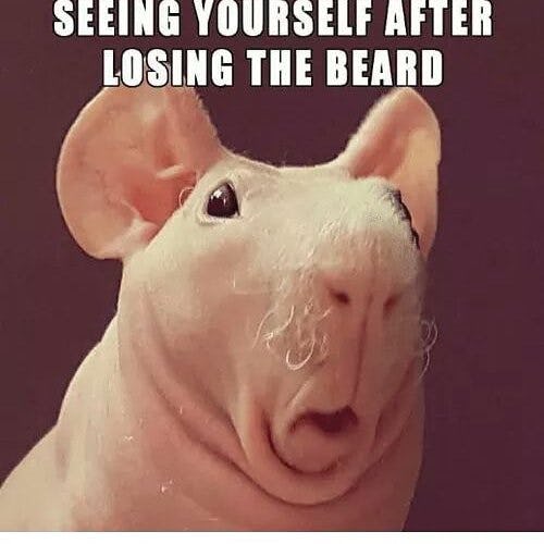 10 First Day Of Spring 2019 Memes That Are Relatable & Funny