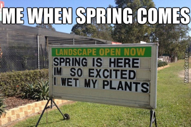 15 Spring Equinox 2019 Memes To Celebrate The Return Of Warmer Weather ...