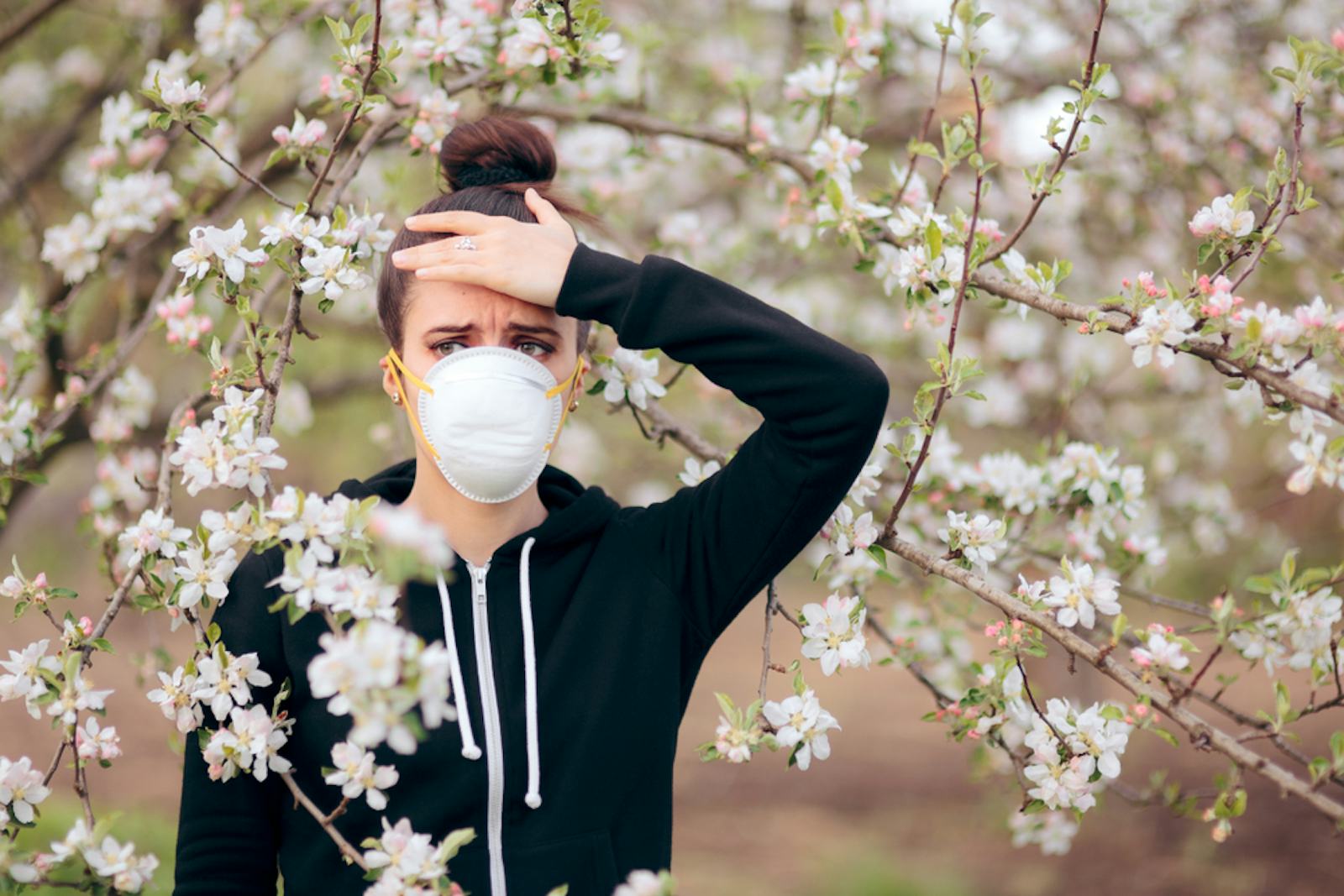 15 Spring Equinox 2019 Memes To Celebrate The Return Of Warmer Weather ...