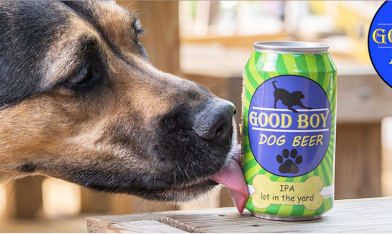 Good Boy Dog Beer Is A Beer Specifically Designed For Your Four-Legged ...