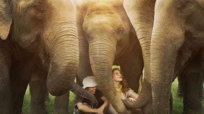 14 Elephant Movies To Stream Now If ‘Dumbo’ Is Your Favorite Disney Classic