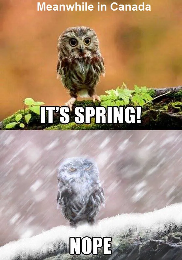 21 Funny April Fools’ Day 2019 Memes That Will Have You In Stitches