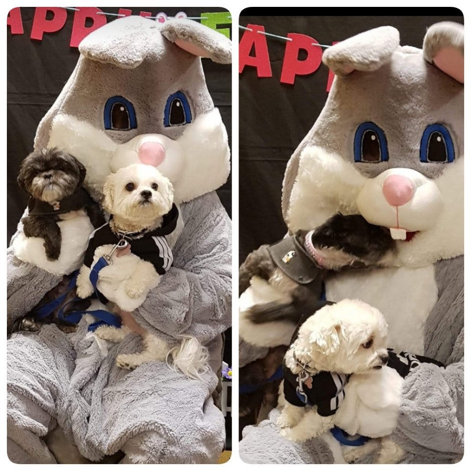 25 Horrifying Easter Bunnies That Will Keep You From Ever Sleeping Again