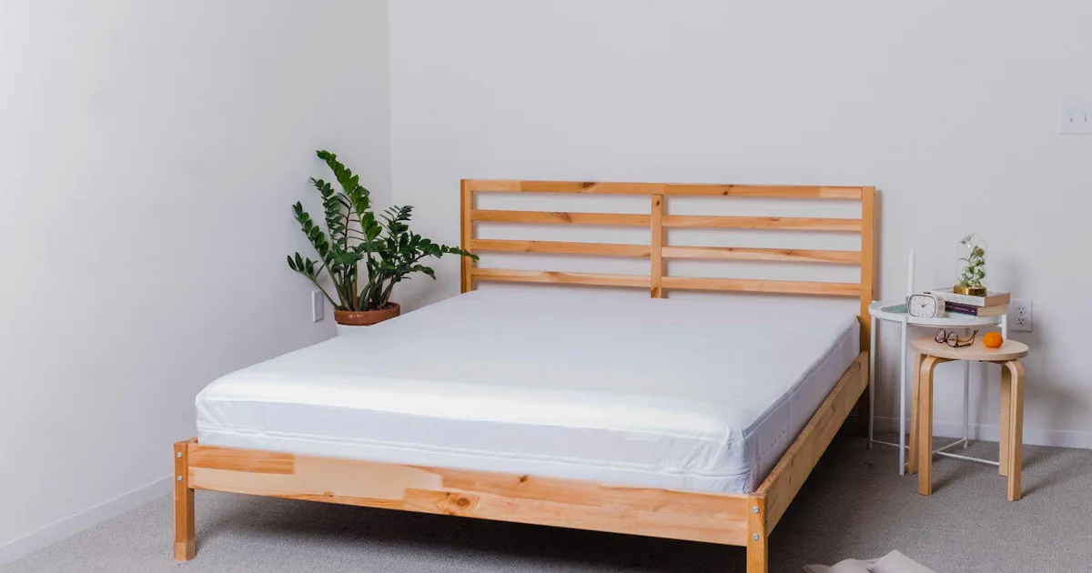 The 3 Best Mattress Covers For Bed Bugs The 3 Best Mattress Covers For Bed Bugs