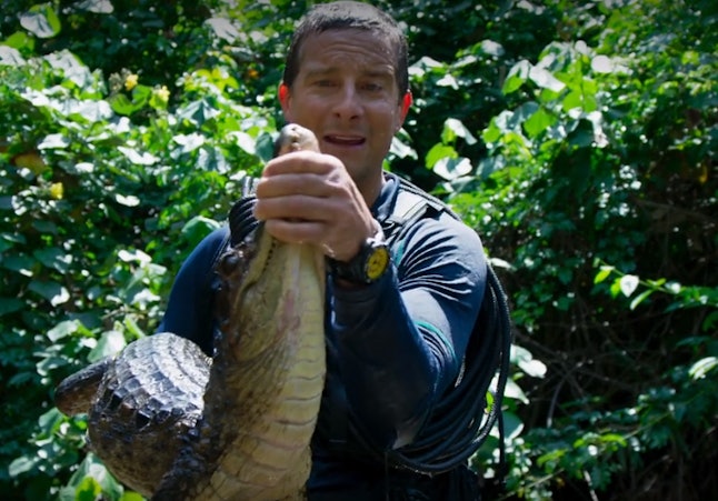 Bear Grylls In 'You Vs. Wild' Ends Up In Too Many Ridiculous Situations ...