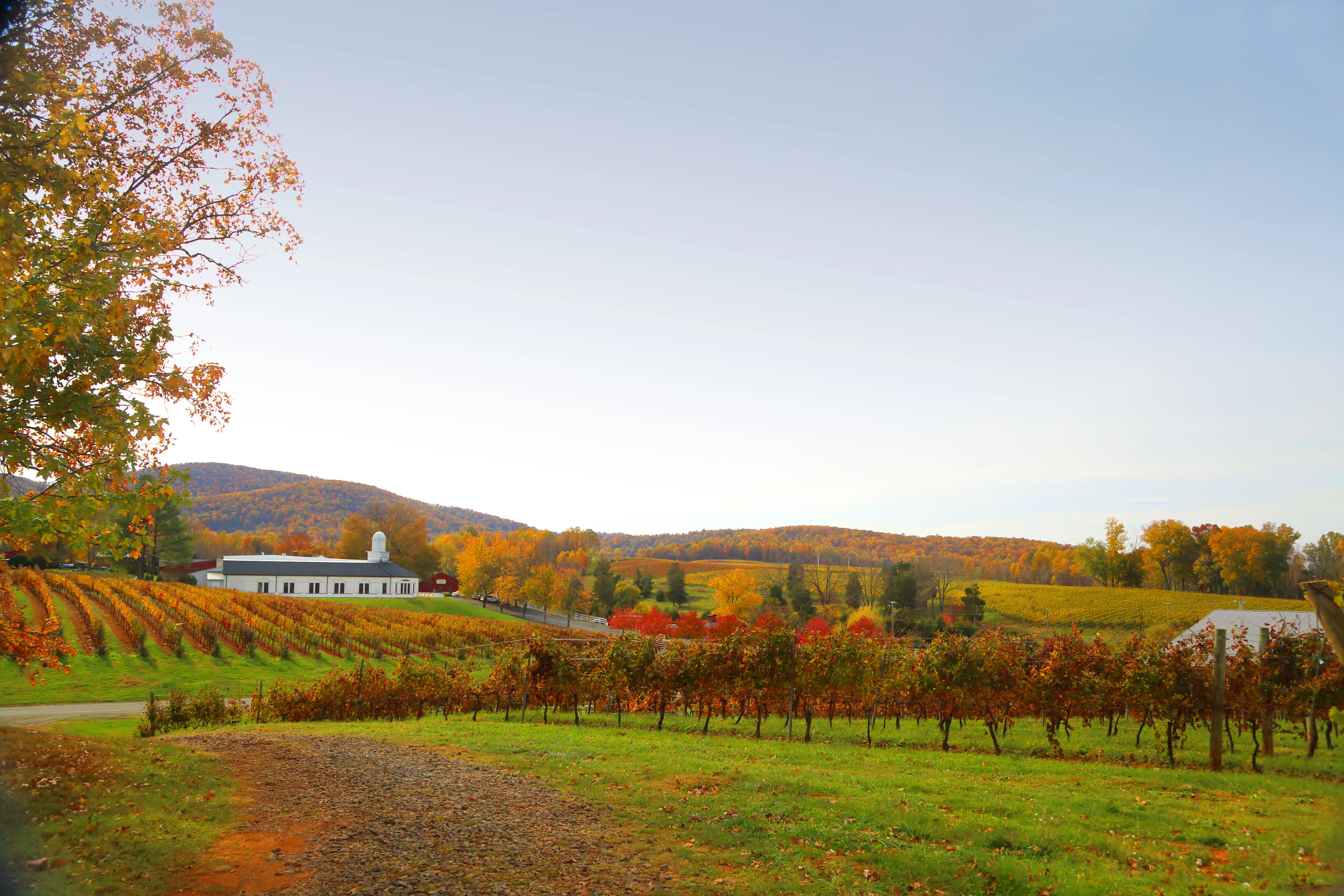 The Best Wine Vacations For Vino Lovers Looking To Get Away