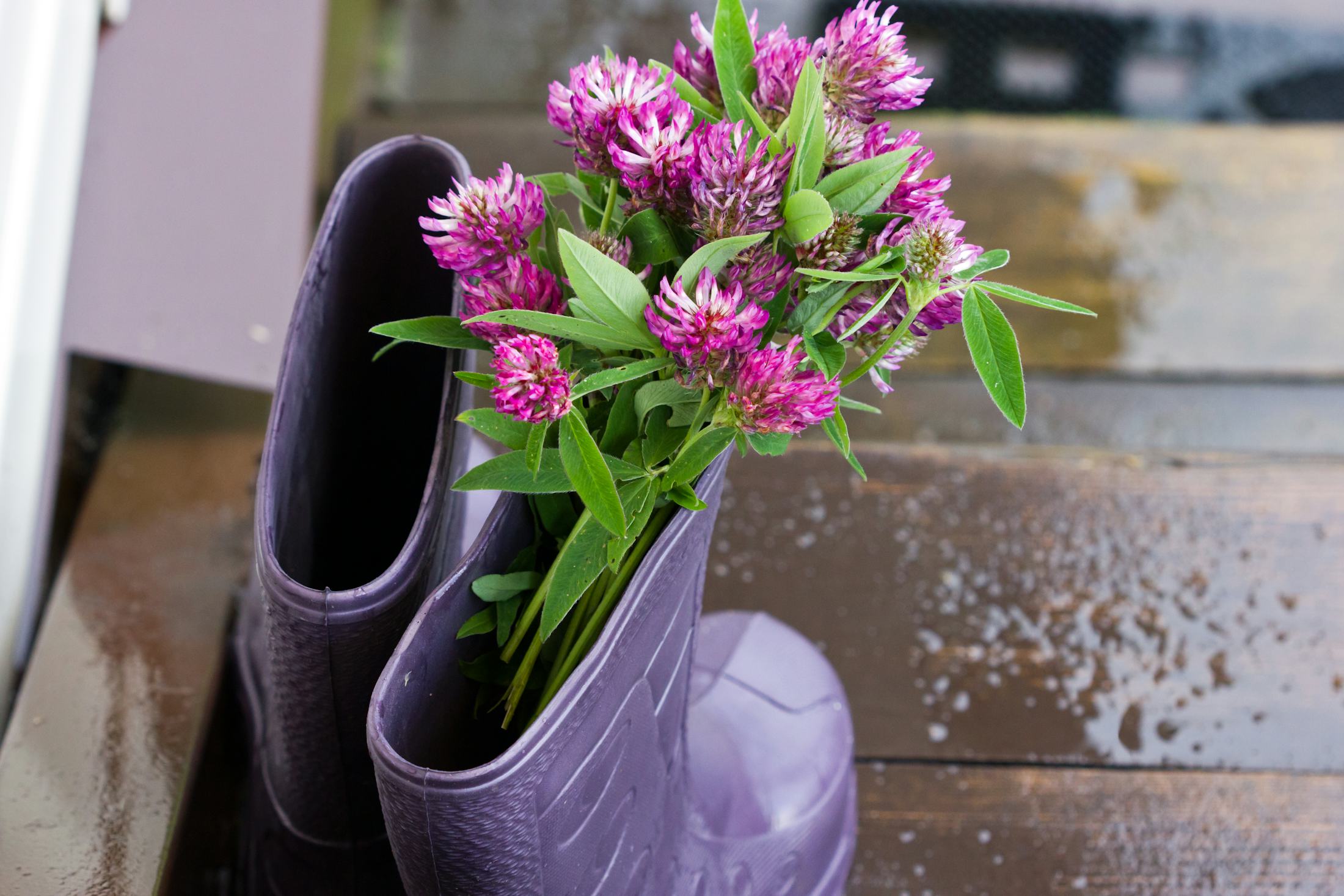 What Is Petrichor? It Turns Out There's Actually A Word To Describe ...