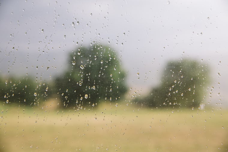 What Is Petrichor? It Turns Out There's Actually A Word To Describe ...