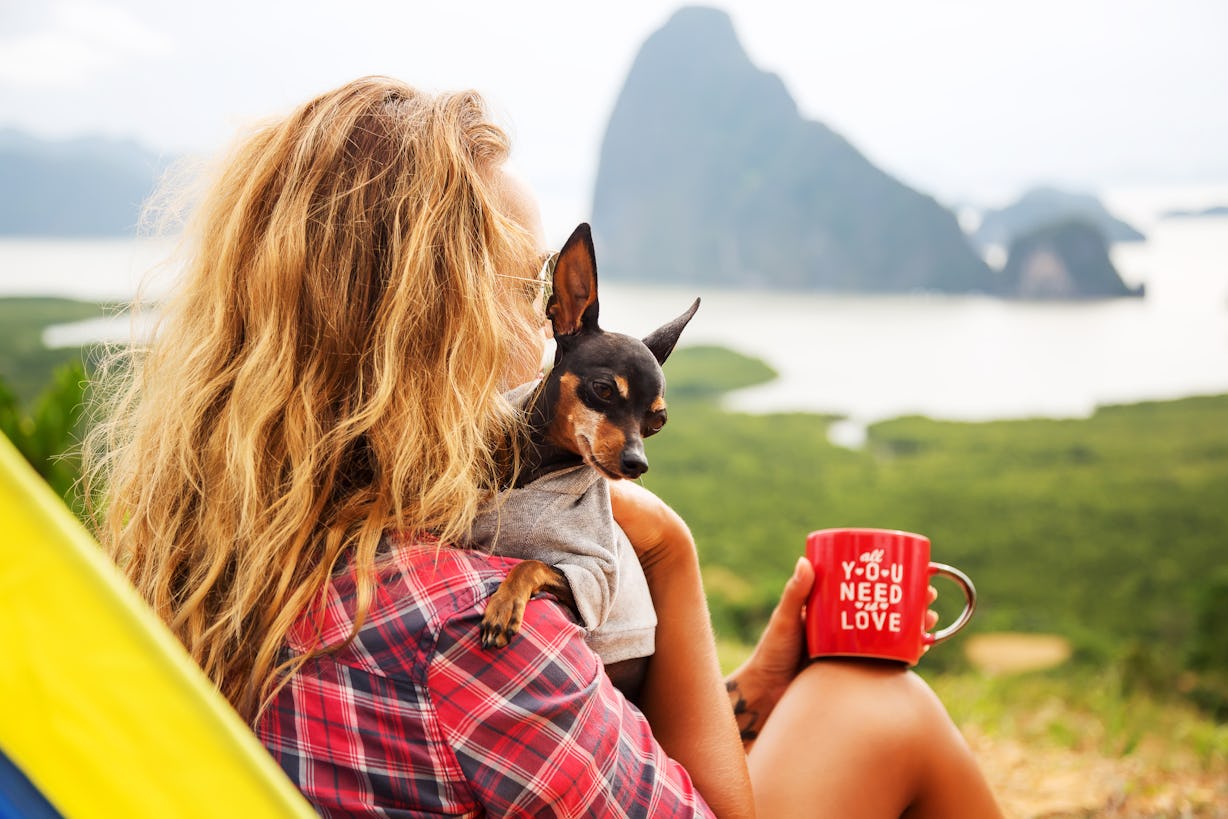 10 Best Dog Breeds For If You Travel A Lot With Your Pup