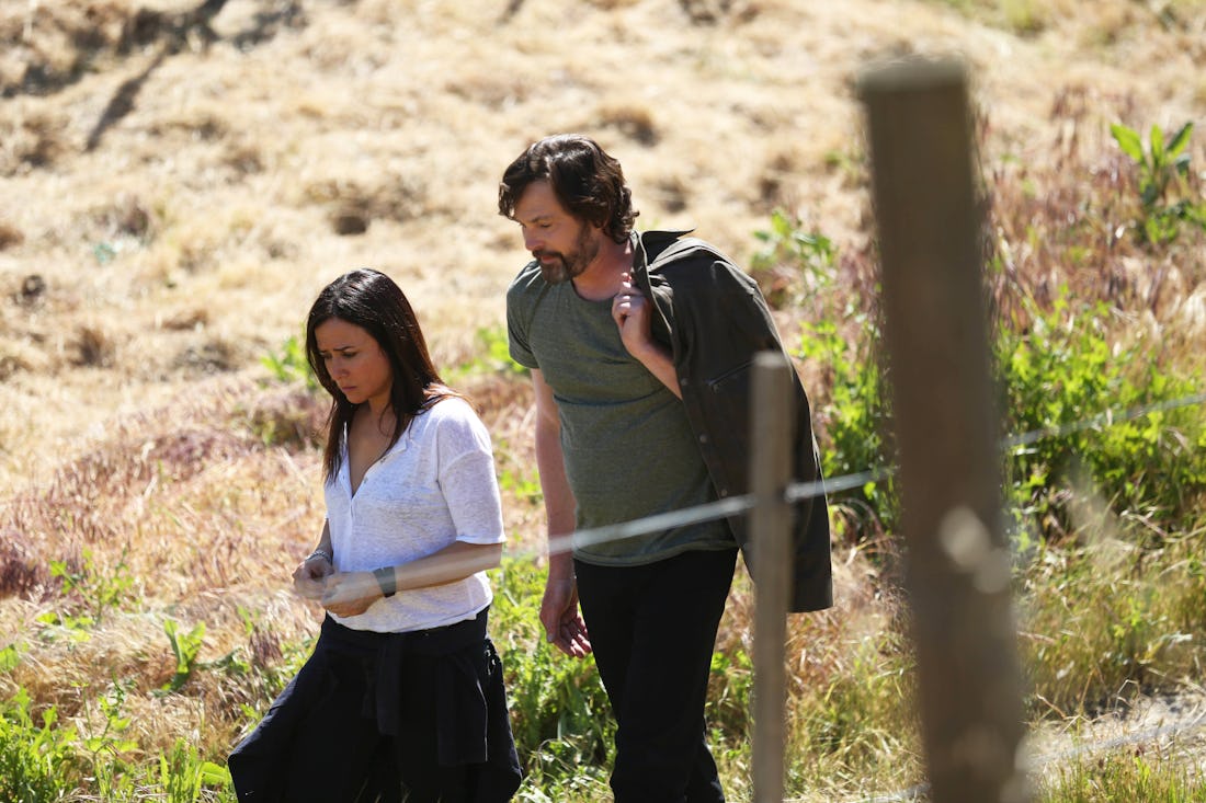 Matthew Broderick's 'Better Things' Character Might Finally Signal A ...