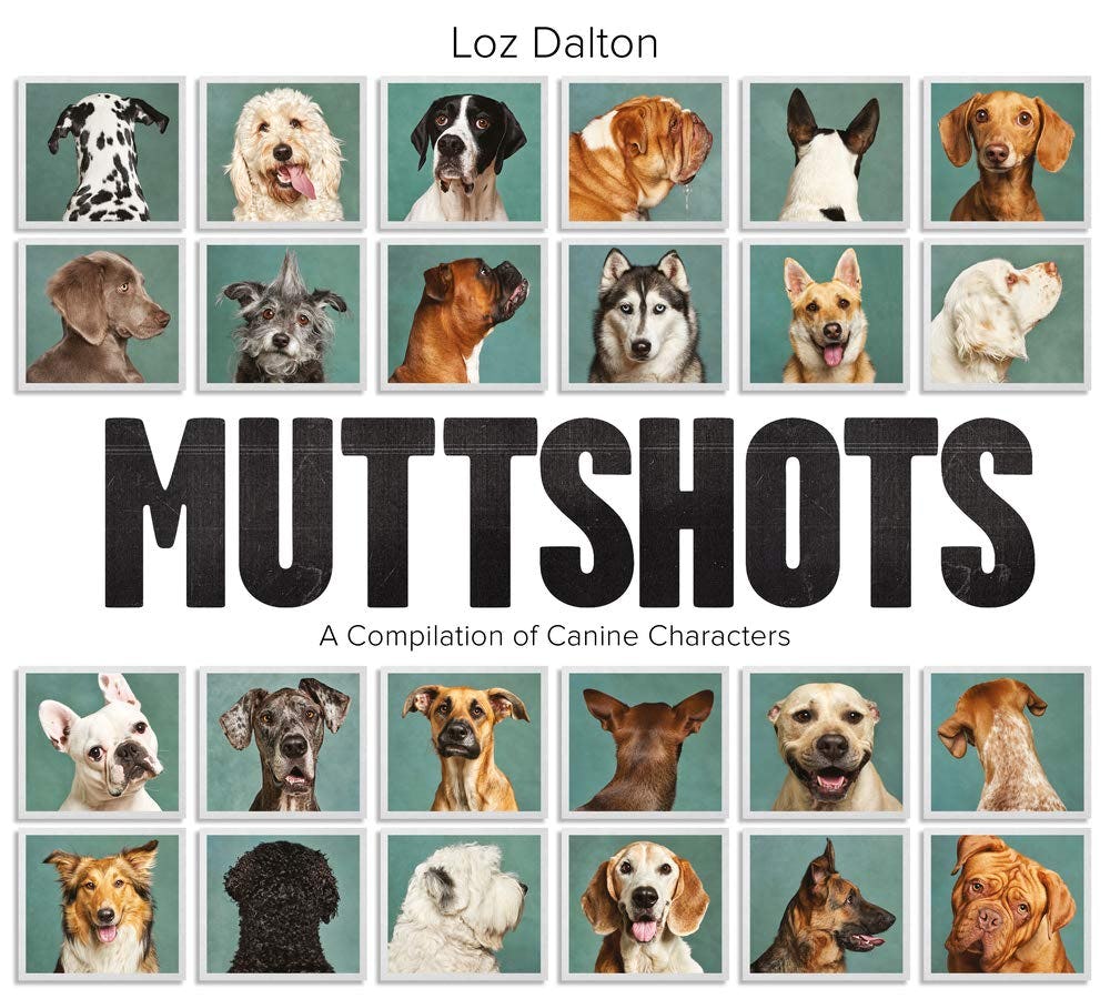 15 Coffee-Table Books For Pet Lovers Who Can't Get Enough Of Cute ...