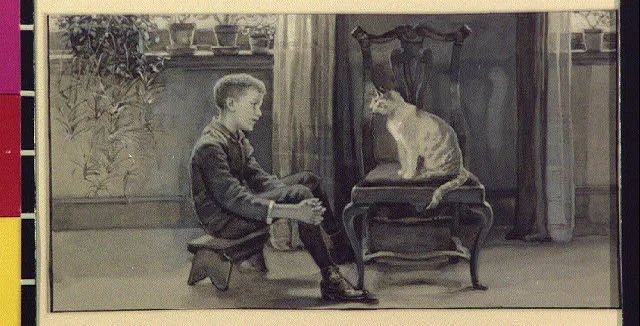 The Library Of Congress' Cat Photos Are Strange, Glorious, And Free To Use