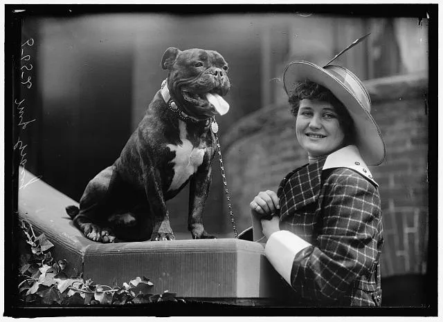The Library Of Congress' Cat Photos Are Strange, Glorious, And Free To Use
