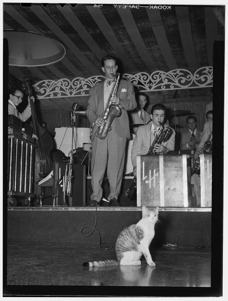 The Library Of Congress' Cat Photos Are Strange, Glorious, And Free To Use