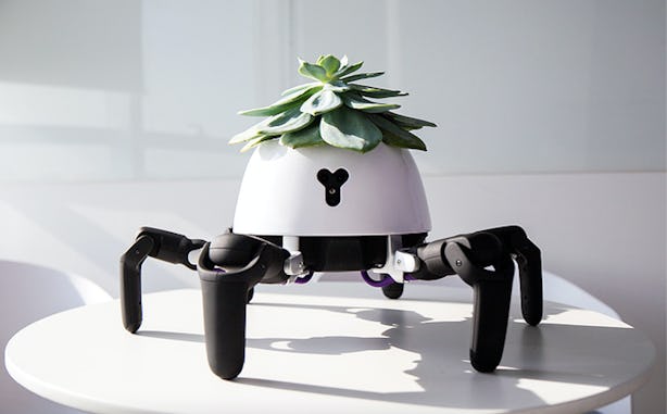 This Robot Planter Follows The Sunlight & Throws Tantrums If You Don't ...