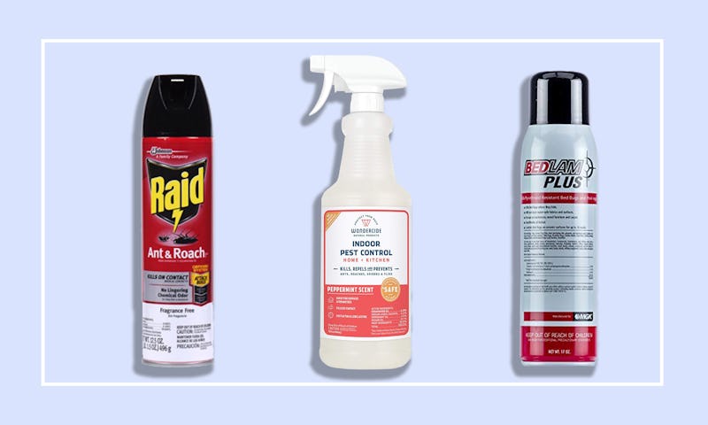 The 5 Best Bug Sprays For Home