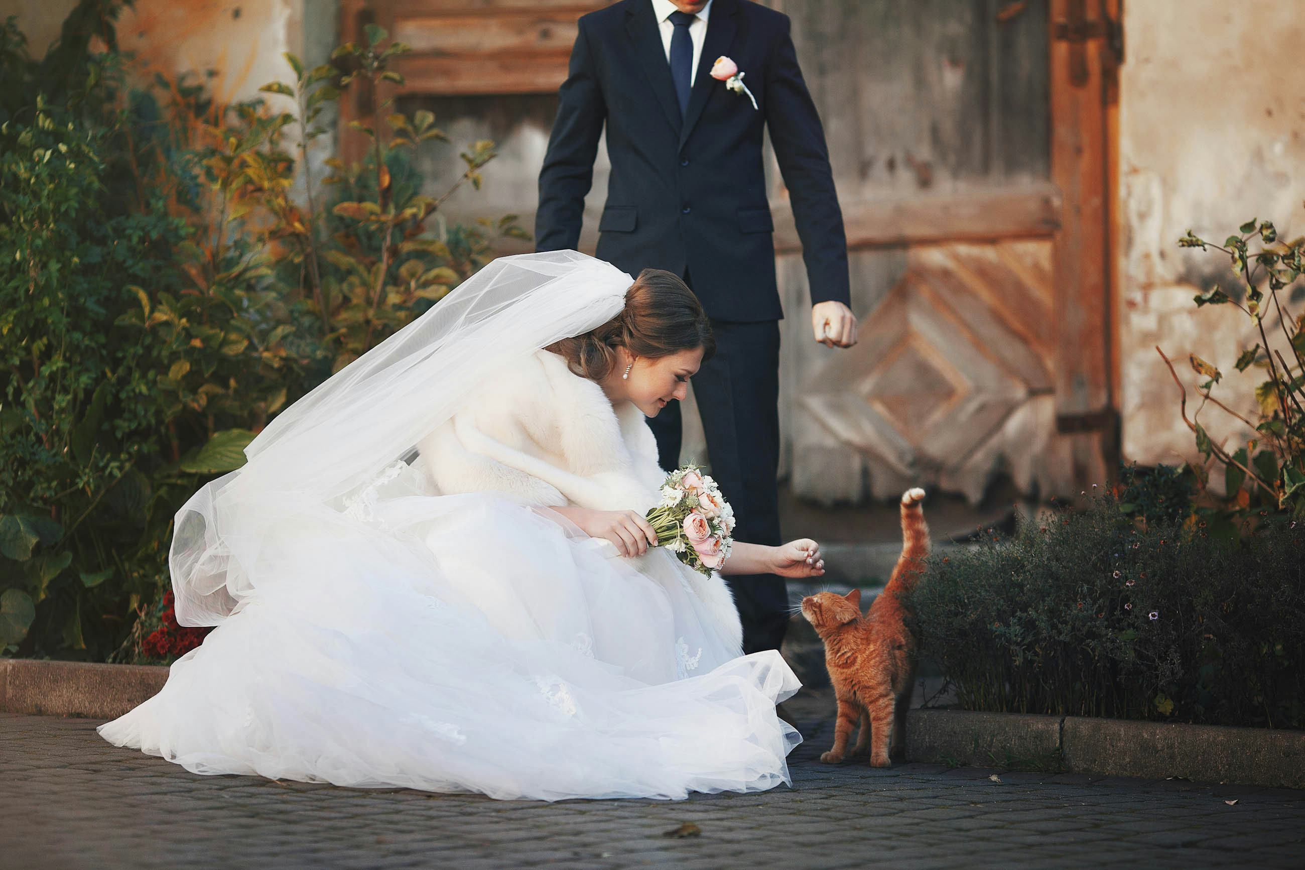 How To Make Your Pet Part Of Your Wedding