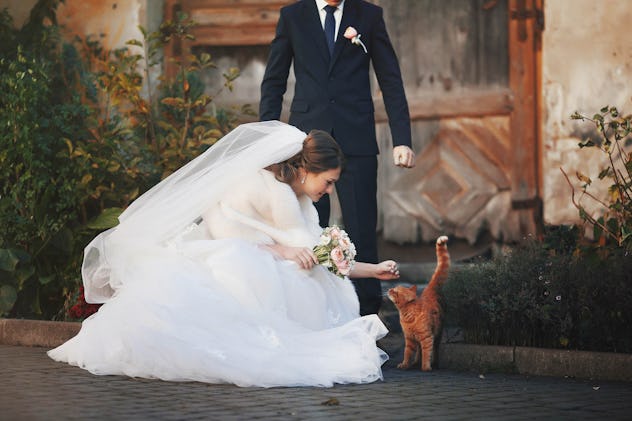 How To Make Your Pet Part Of Your Wedding
