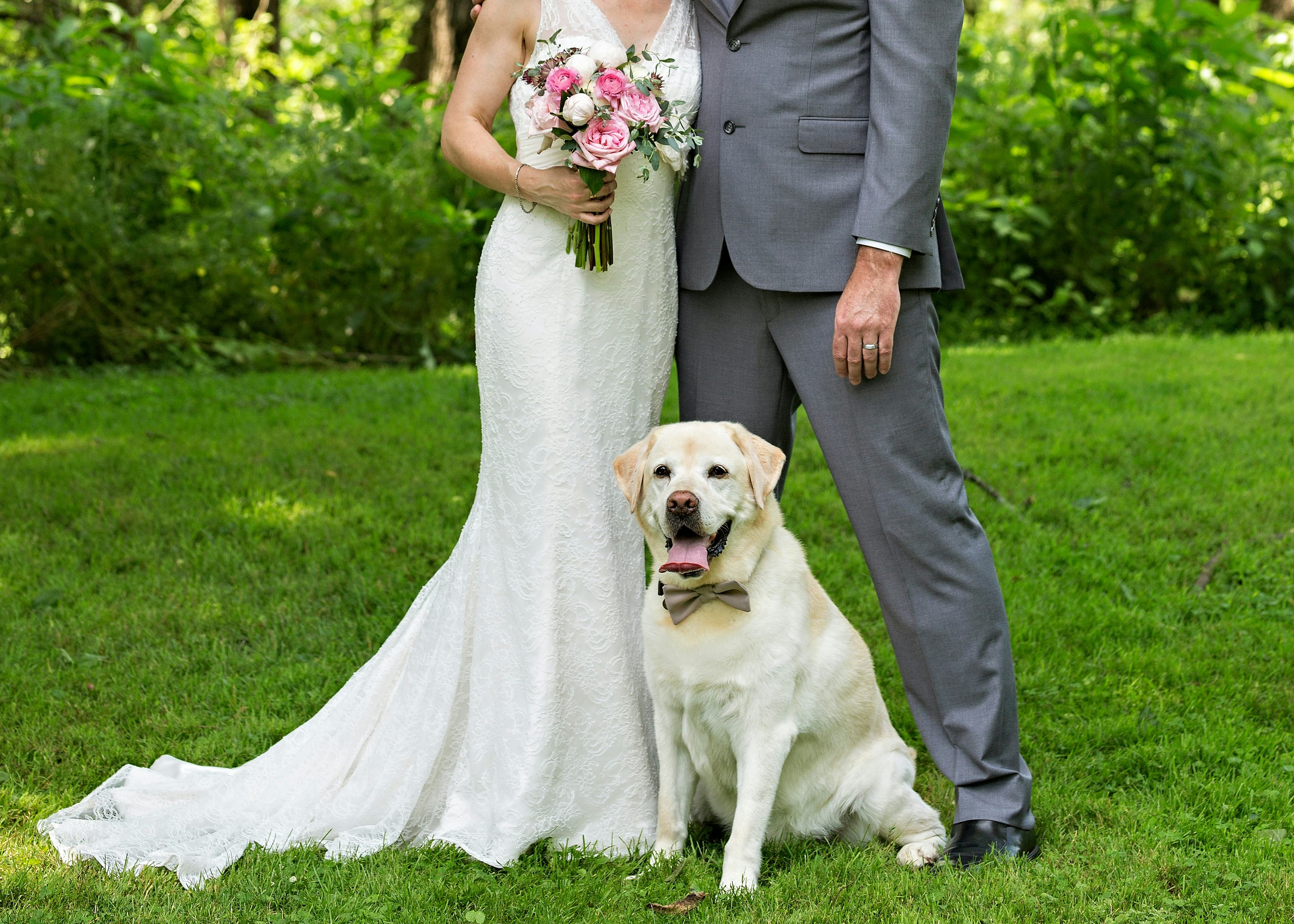 How To Make Your Pet Part Of Your Wedding