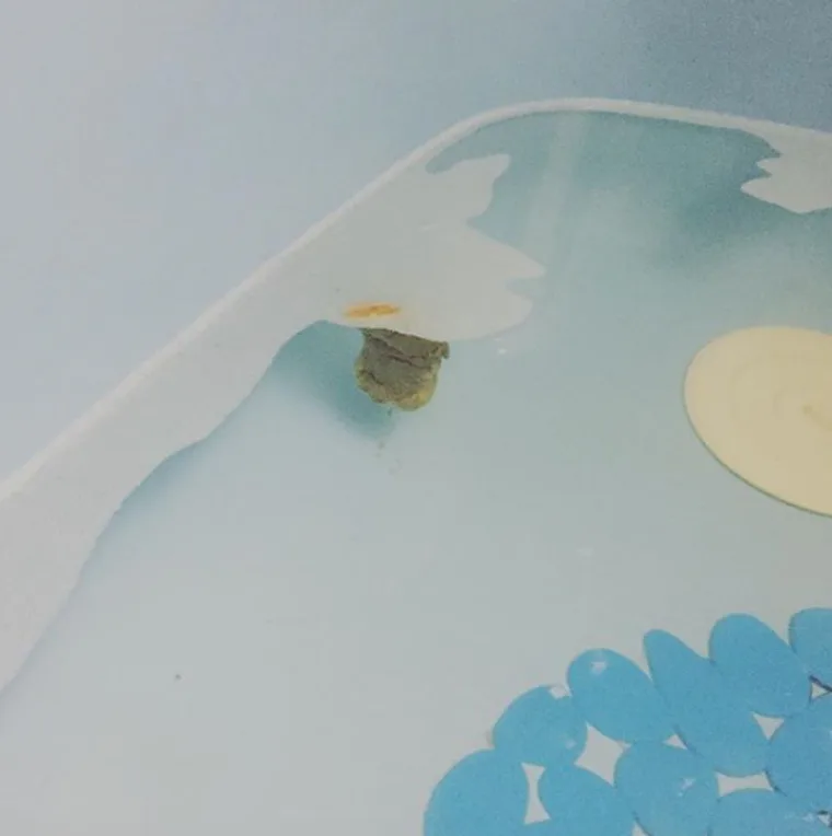 Poop In The Bath Tub Is A *Gift*