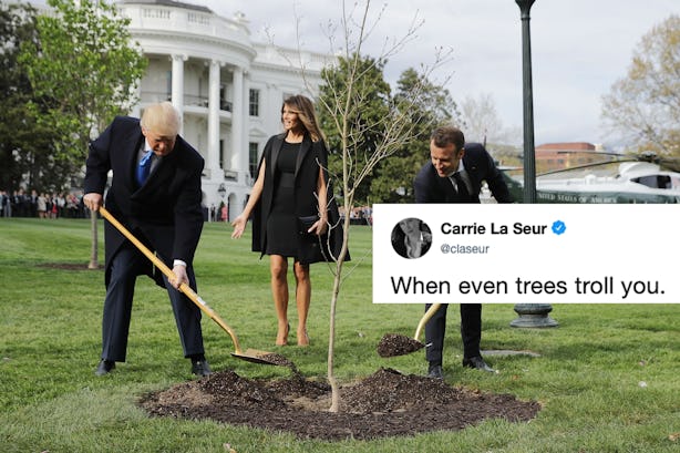 The "Friendship Tree" Trump & Macron Planted At The White House Has Died