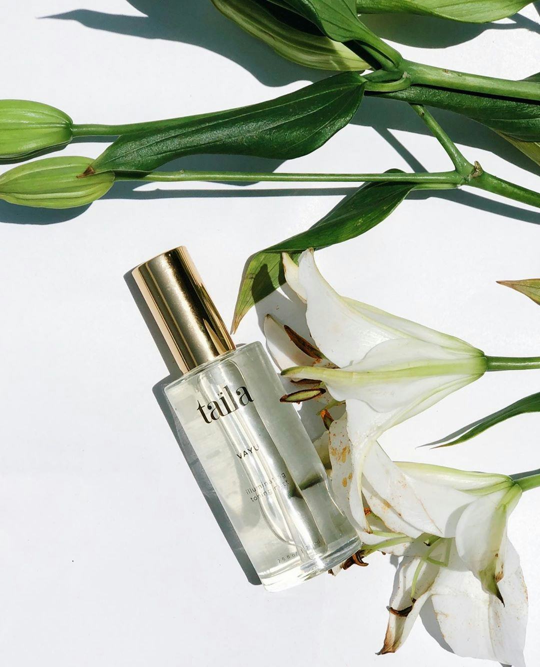 The Beauty Benefits Of Holy Basil Includes Clear Skin, Fewer Wrinkles ...