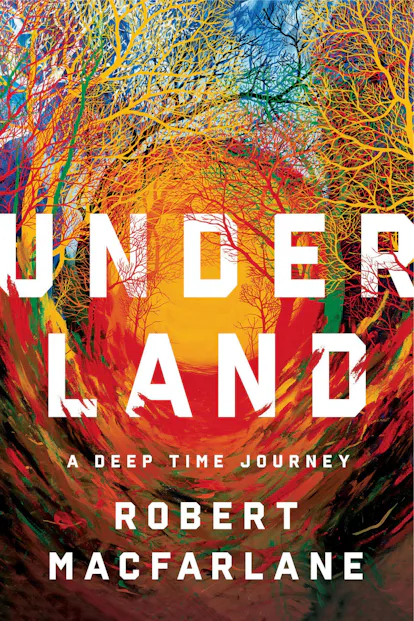 The 10 Best Books Of 2019 So Far, According To Amazon Editors