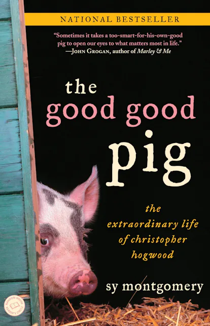 20 Books With Unique Pets