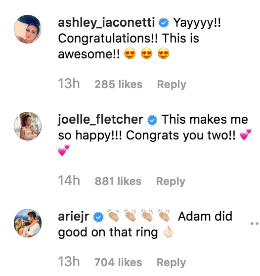 Raven & Adam From 'Bachelor In Paradise' Got Engaged & It's Been A Long ...