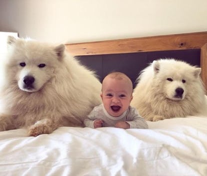 27 Cutest Babies With Dogs Photo Shoot Ideas
