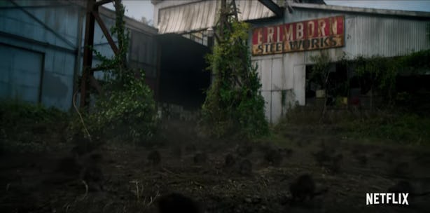 The Rats In 'Stranger Things 3' May Explain How Next Season's Monster ...