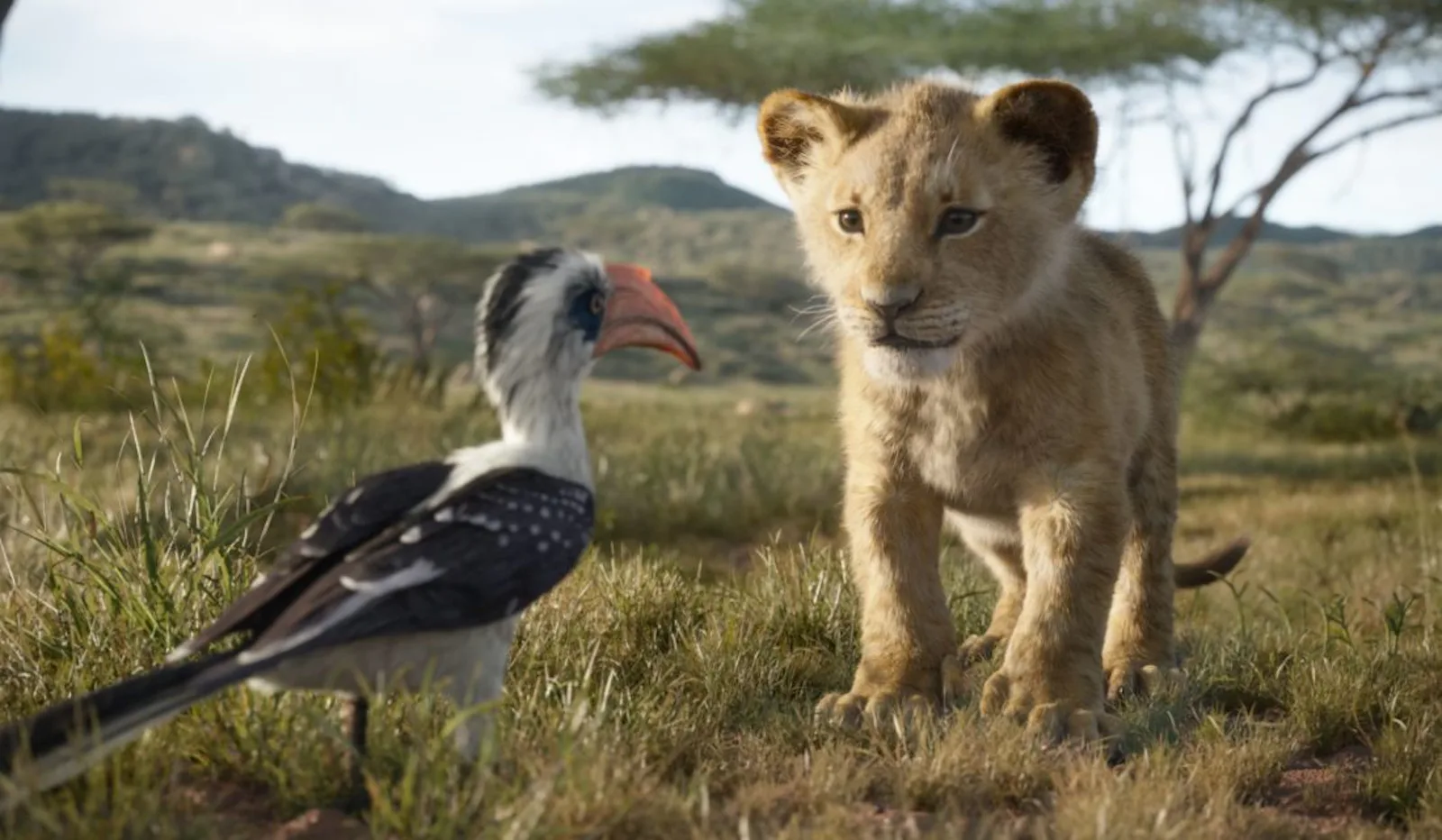 Are The Animals In 'The Lion King' Real? Be Prepared For Your Eyes To ...