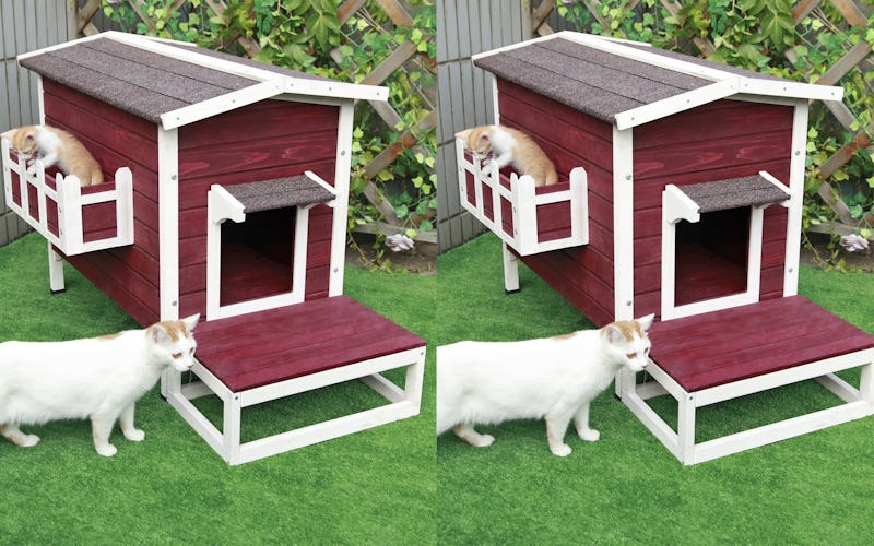 This Cat Condo On Amazon Gives Your Cat A Stylish Pad Of Their Own