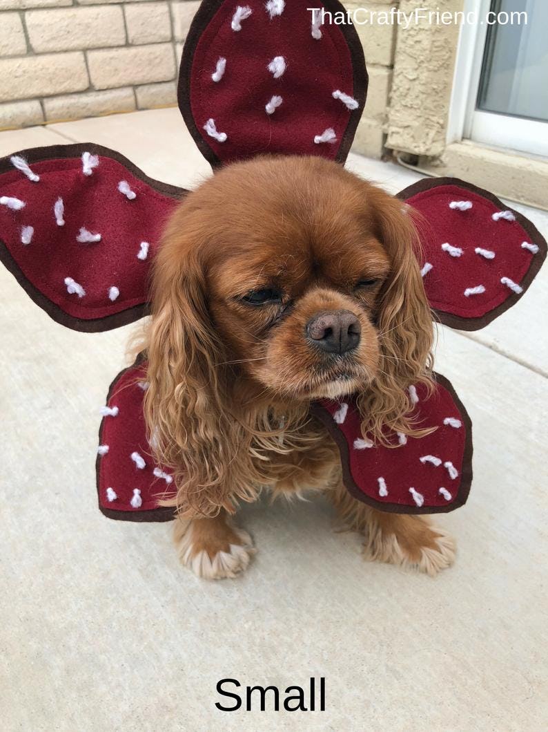 This 'Stranger Things' Demogorgon Dog Costume Is Actually Precious As Heck