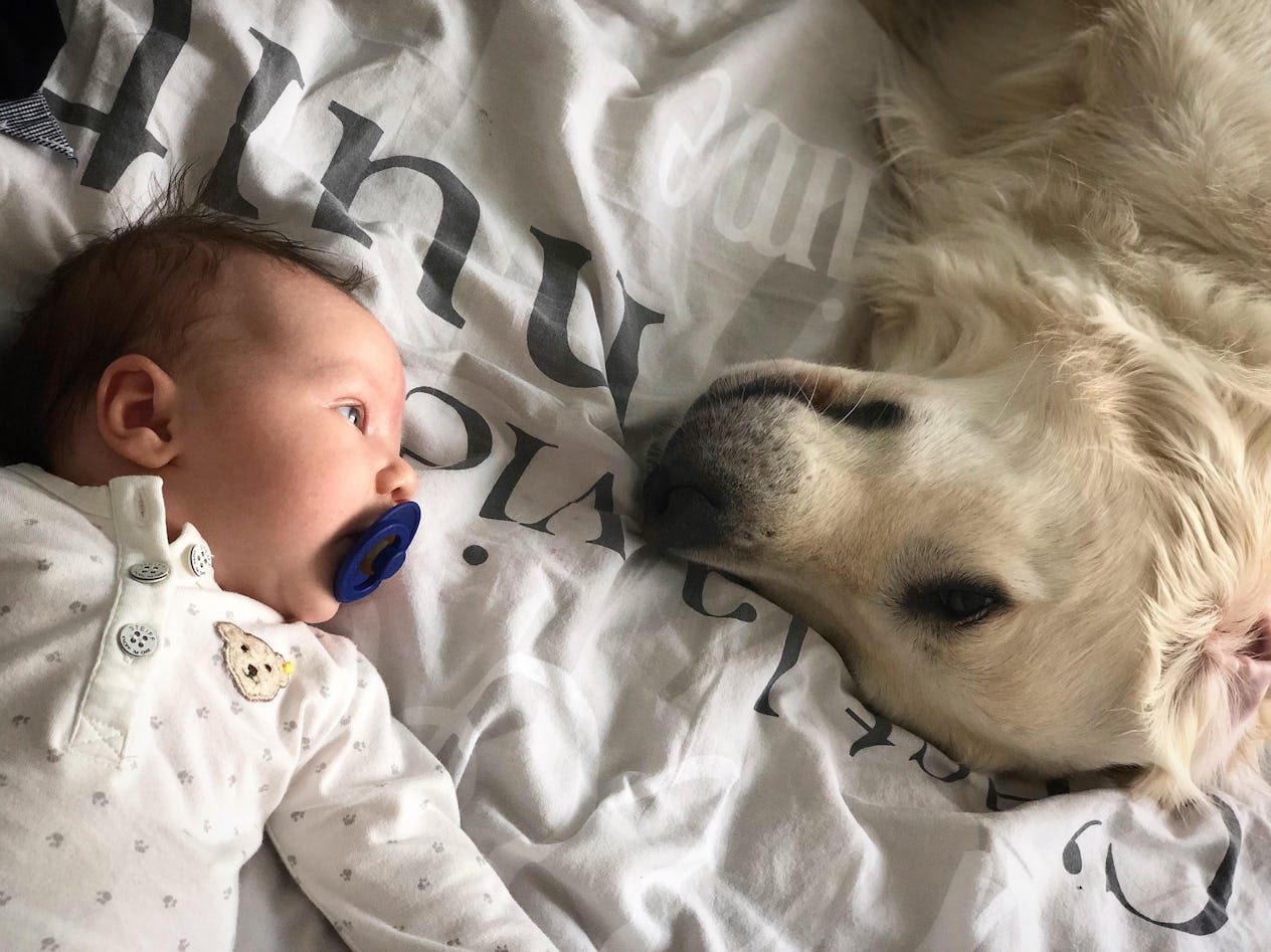 27 Cutest Babies With Dogs Photo Shoot Ideas