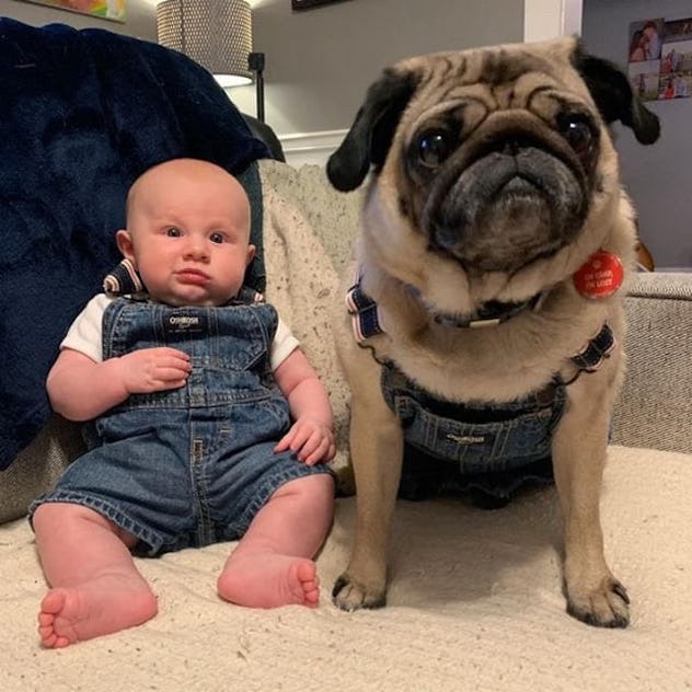 27 Cutest Babies With Dogs Photo Shoot Ideas